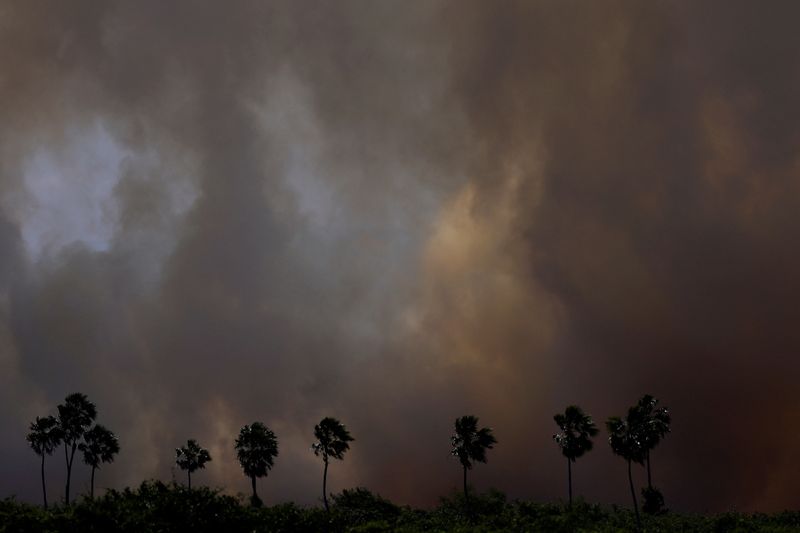Fires in Brazil wetlands surge to record start in 2024 | Salem News Channel