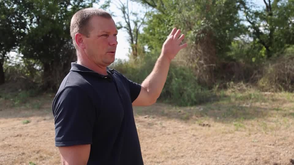 Locusts spread in Ukraine’s south as war disrupts control measures ...